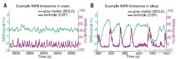 BOLD-CSF coupling：人脑血液动力学与脑脊液振荡耦合技术原理与应用 - 知乎