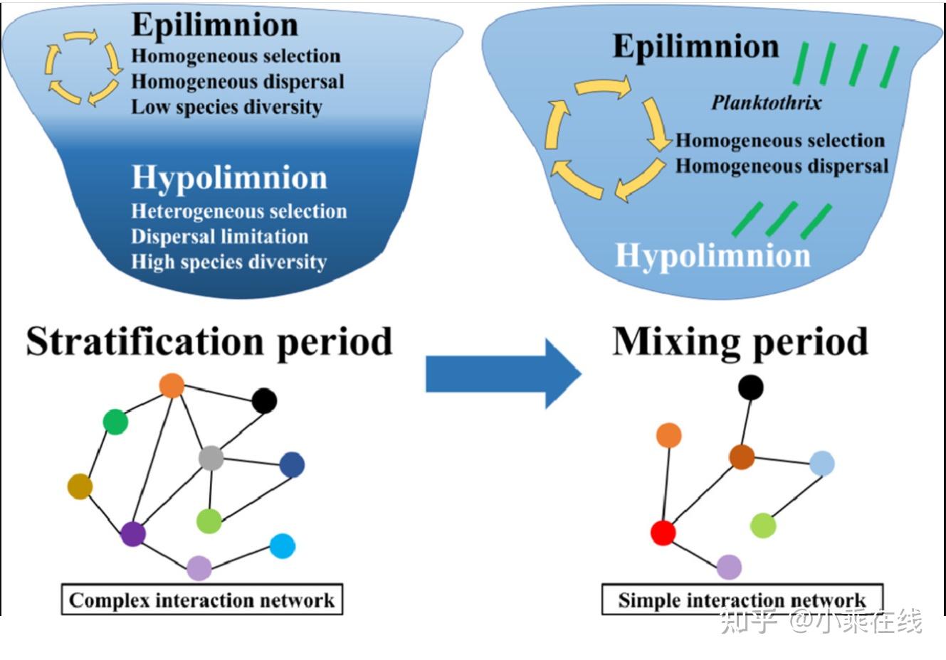 Mixing regime shapes the community assembly process, microbial ...