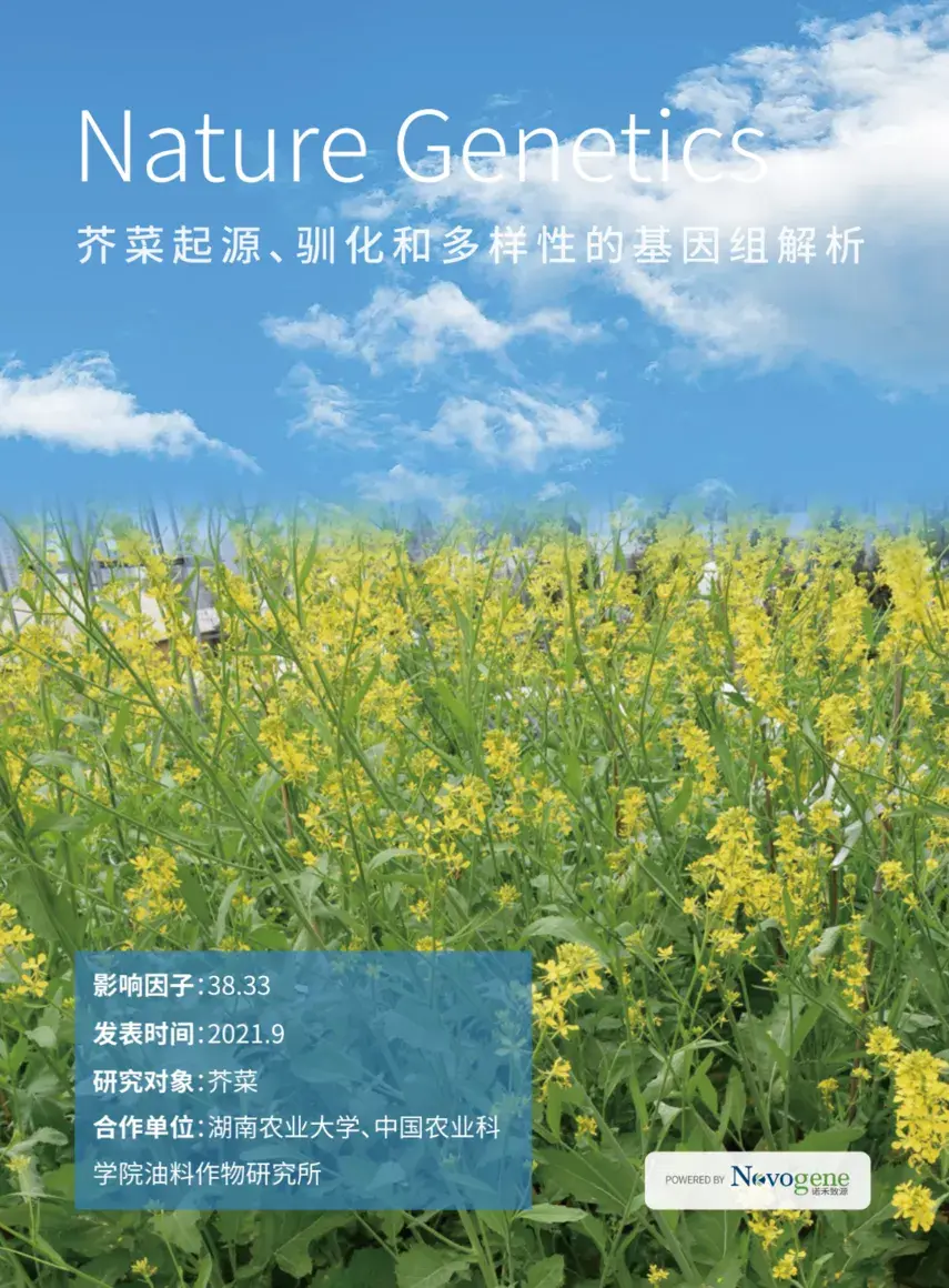 IF1560+ ｜ 诺禾科服2021年高分文章TOP10榜单 - 知乎