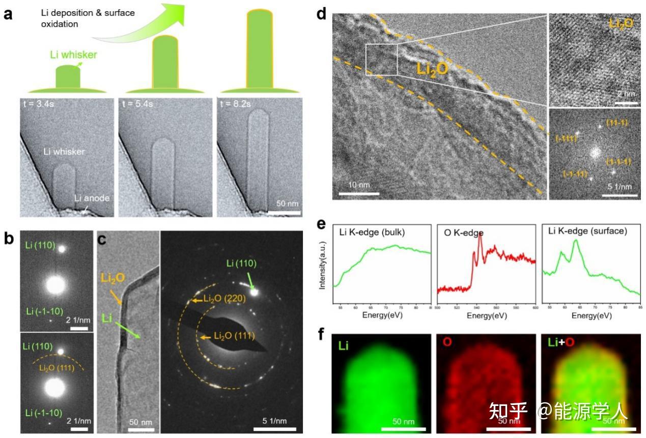 忻获麟/李巨教授：原位TEM揭示锂金属剥离机制并建立SEI力学失稳判据 - 知乎