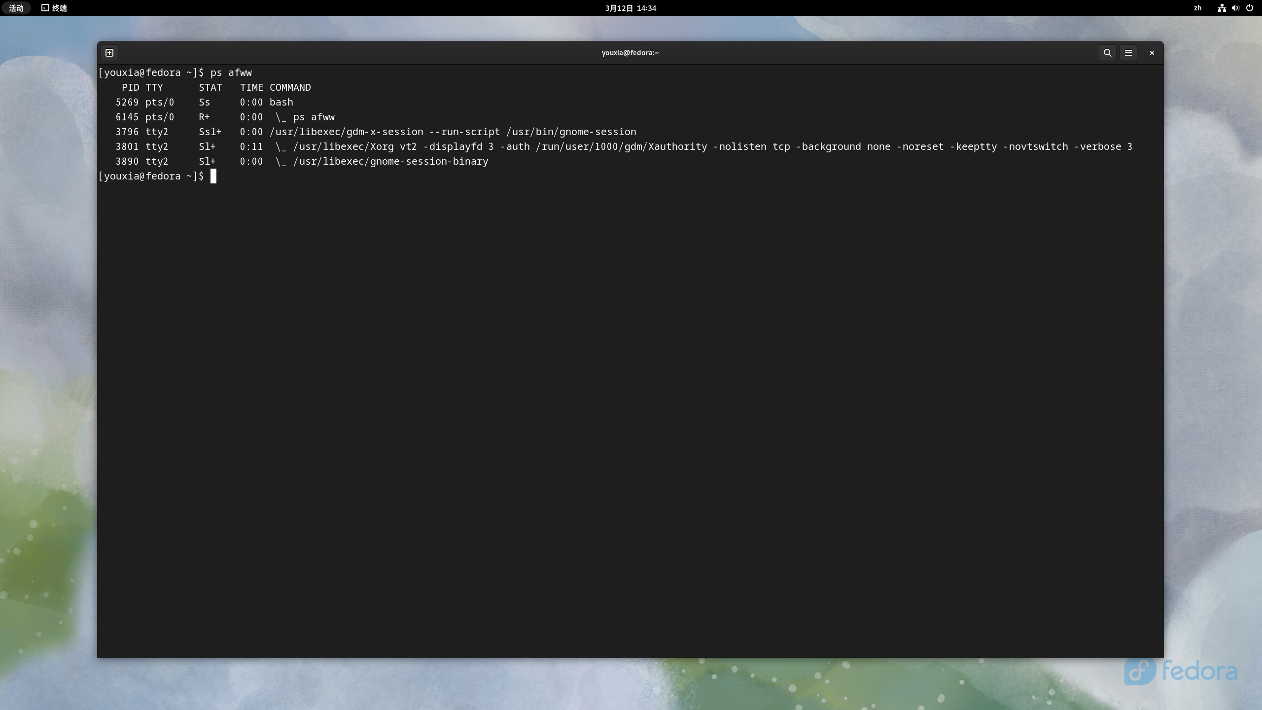 Ubuntu Desktop 实践 24、X Window 的奥秘 - 知乎