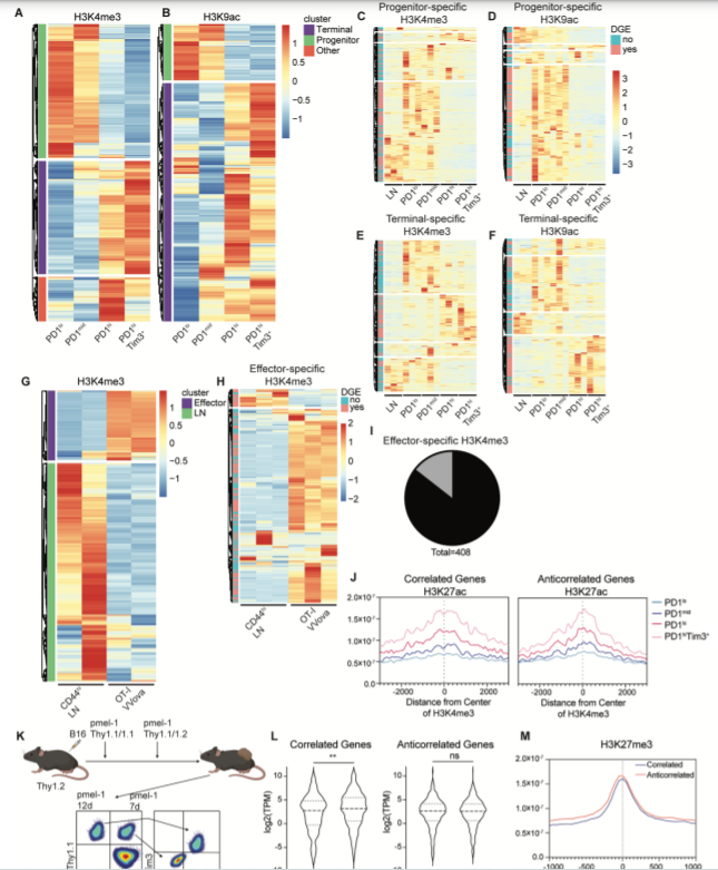 Sci Immu | 肿瘤微环境信号限制T细胞功能潜力机制 - 知乎