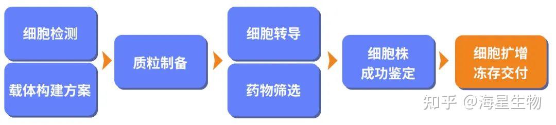基因表达调控—四环素诱导系统简介 - 知乎