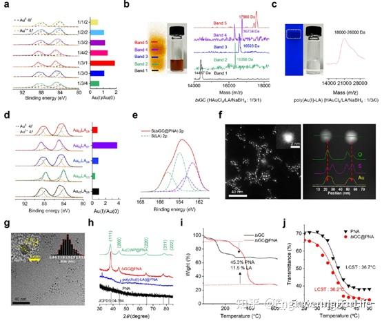 《ACS Nano》：双价金纳米簇激活焦亡增强癌症免疫治疗 - 知乎