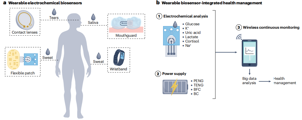 Nature综述：个性化POC诊断设备的电化学生物传感的关键创新 - 知乎
