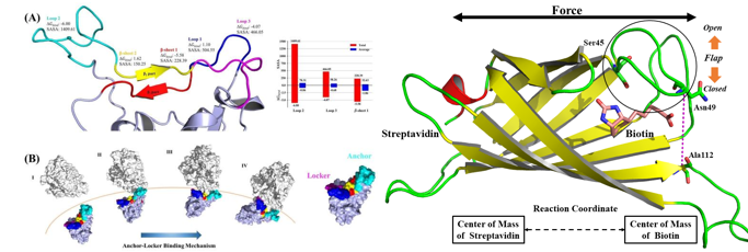 CADD 、AMBER分子动力学能量、AIDD人工智能药物发现 - 知乎