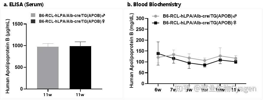 新款LPA&APOB双转基因小鼠：Lp(a)＞500 nmol/L，ApoB＞100 mg/dL，LDL-C升高5倍 - 知乎