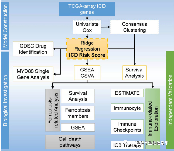 免疫原性细胞死亡 (ICD)再不上车就晚啦！最新生信思路大放送，看ICD如何轻松扛起8分+的大旗 - 知乎