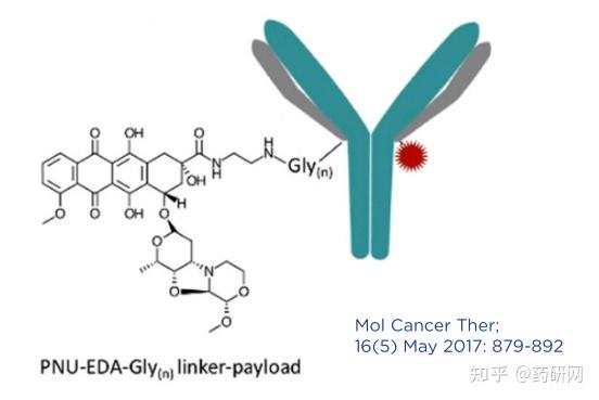 胃癌潜力靶点：Claudin 18.2 - 知乎