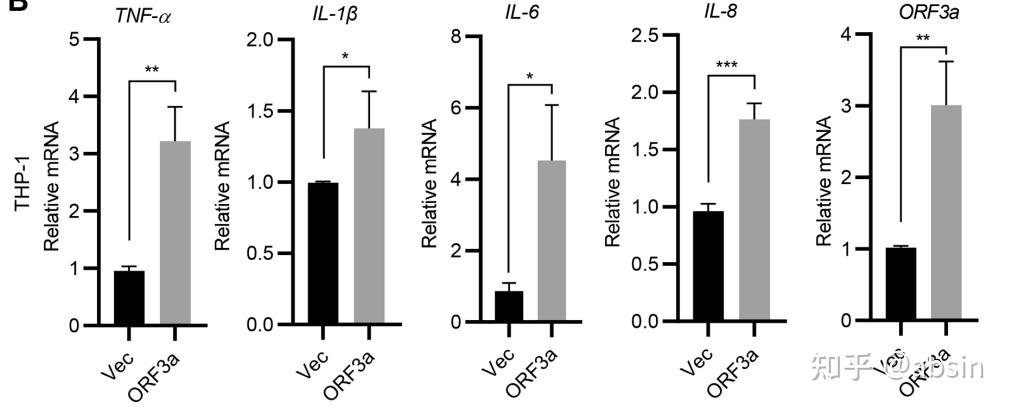 产品专题——聚凝胺(Polybrene)，基因转染增强剂 - 知乎