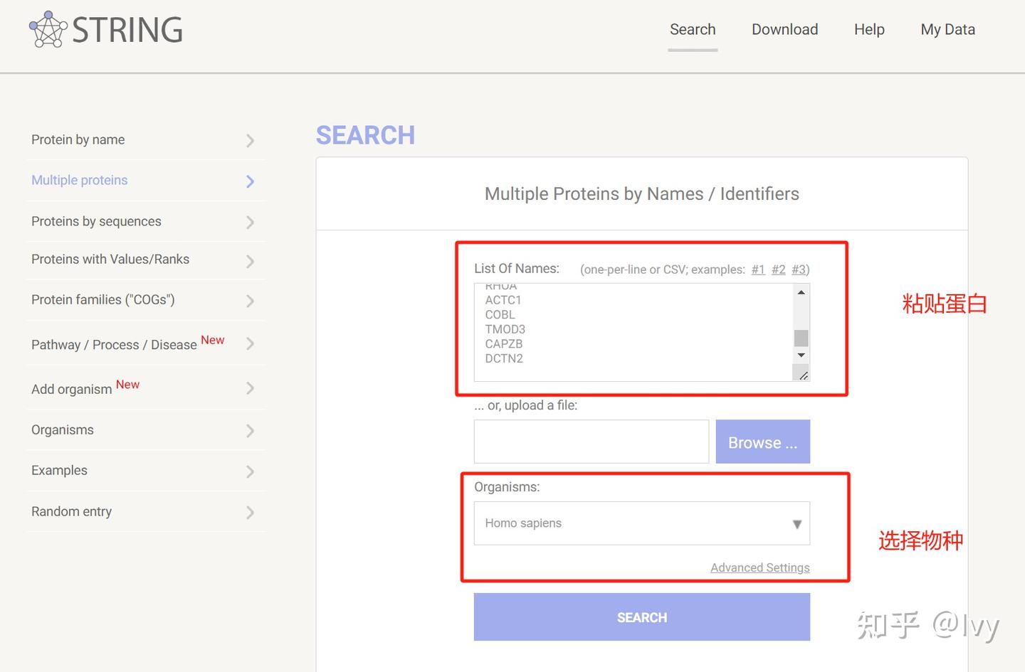 String蛋白互作网络分析 - 知乎