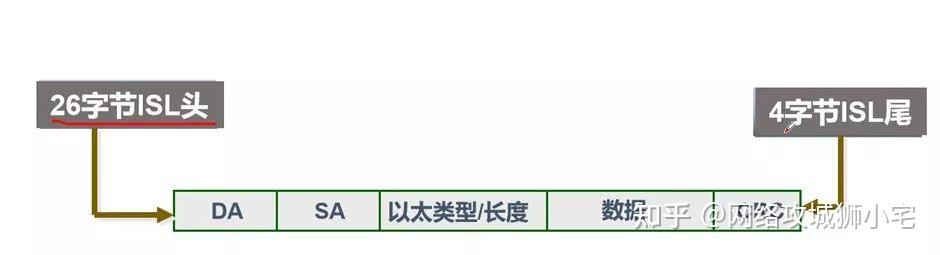 Trunk原理和操作 - 知乎