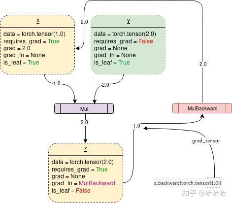 pytorch backward 函数 - 知乎
