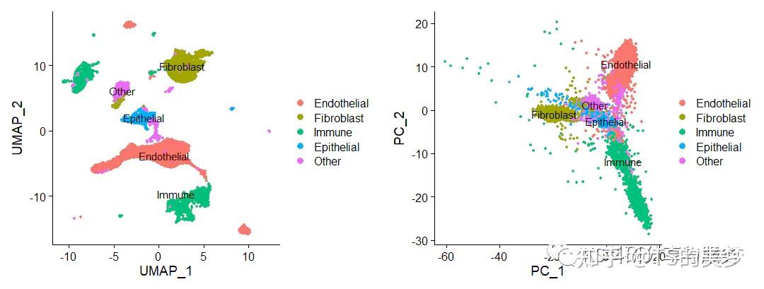 单细胞基因可视化之UMAP图修饰 - 知乎