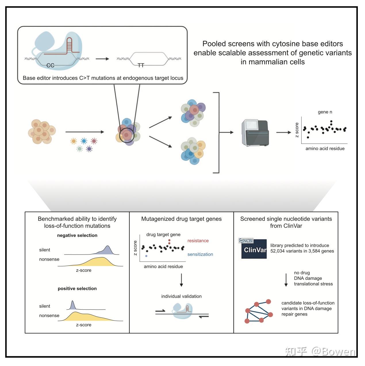 CRISPR-Cas9 Screen技术 - 知乎