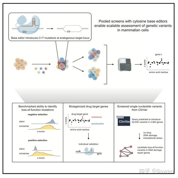 CRISPR-Cas9 Screen技术 - 知乎