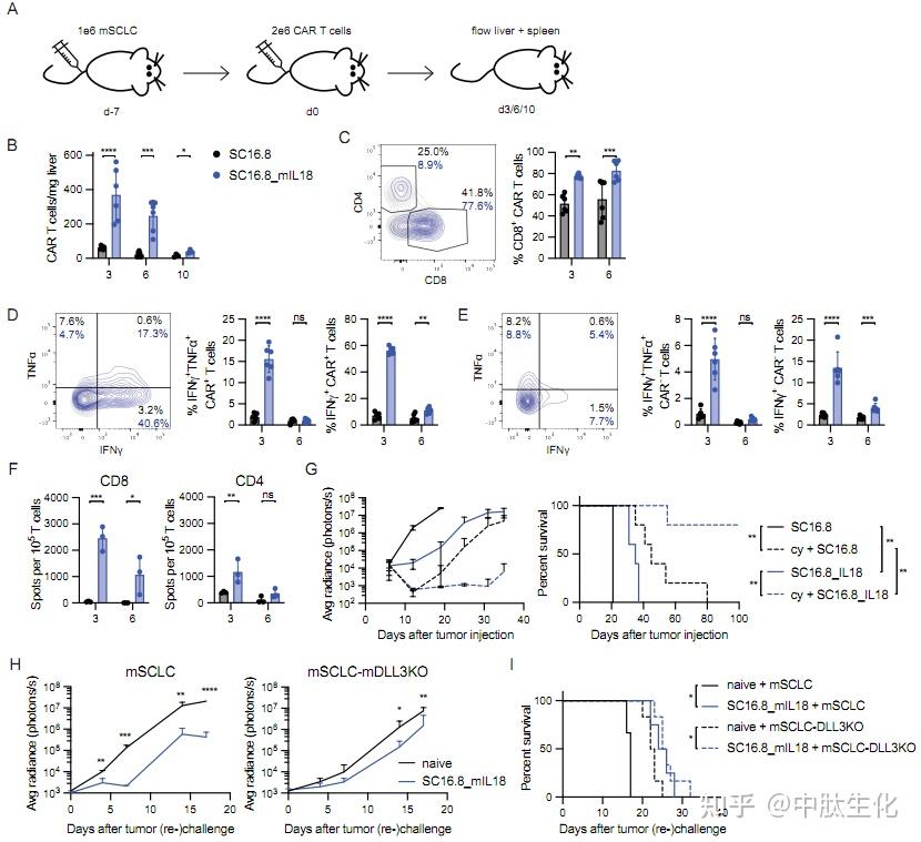 JCI：分泌IL-18的DLL3 CAR-T细胞有望治疗小细胞肺癌 - 知乎