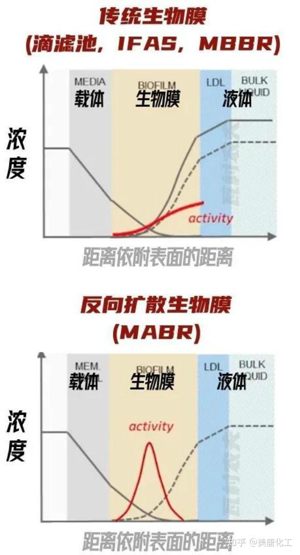 MABR的前世今身 - 知乎