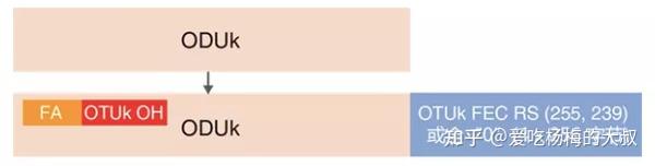 光传输系统的FEC是什么？ - 知乎