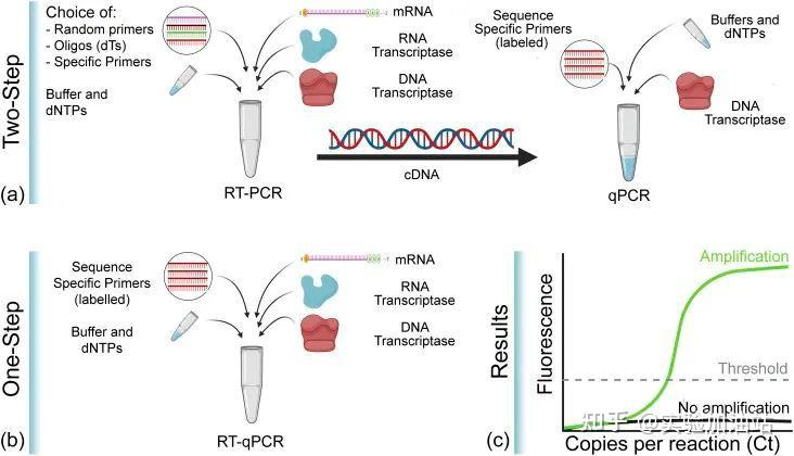 一文读懂：PCR，qPCR，Real-time PCR，RT-PCR和RT-qPCR - 知乎