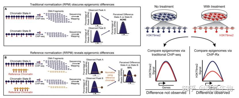 表观专题：你的CUT&tag加spike in了吗 - 知乎