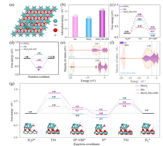 清华大学Nano Energy: MoO2/Mo异质结构的制备及其HER和自发电氨气传感功能最新进展 - 知乎