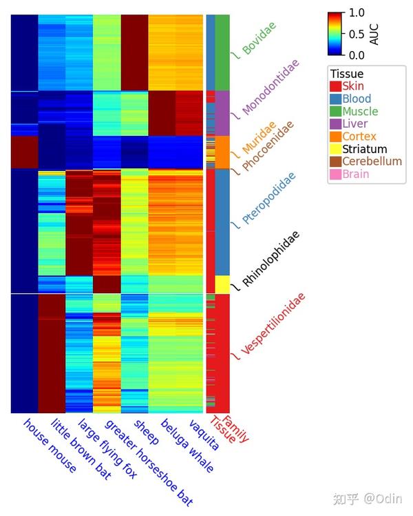 如何用python画热图（heatmap, clustermap）? - 知乎