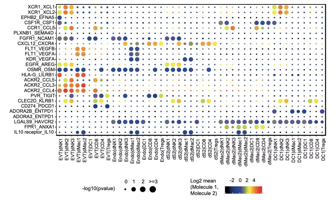 实用指南丨CellPhoneDB 细胞互作分析是什么？怎么看？如何用？ - 知乎
