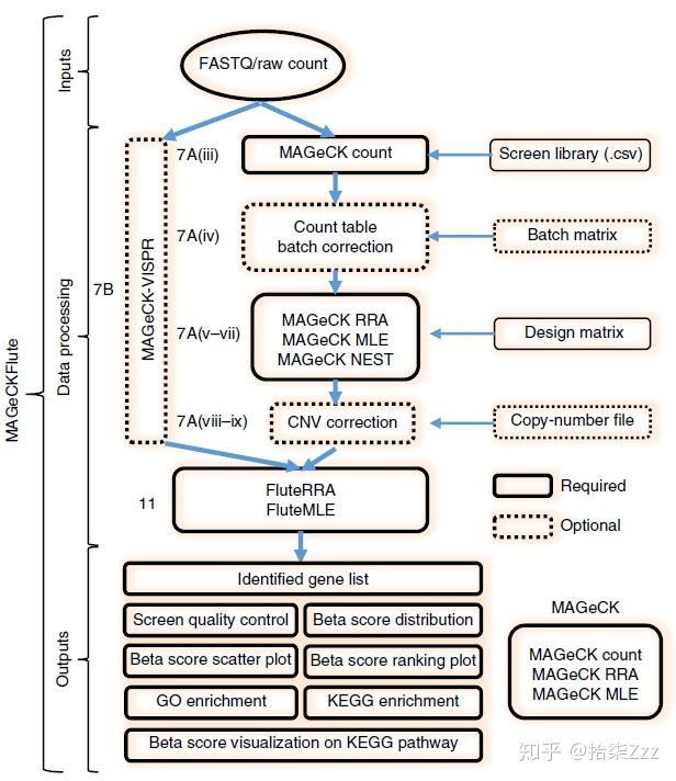 干货 | 全基因组CRISPR文库筛选数据分析——MAGeCKFlute - 知乎
