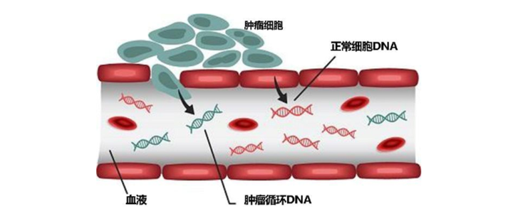 科普讲堂 | 关于cfDNA你了解它多少? - 知乎