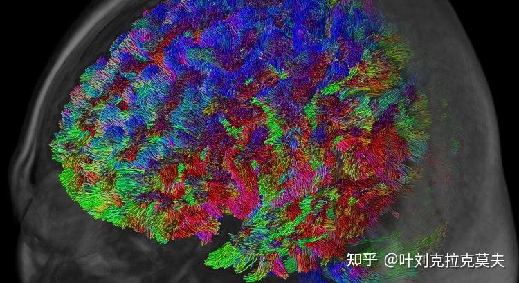 科学可视化软件介绍57 – 医学图像处理和可视化开放软件框架MRtrix3 - 知乎
