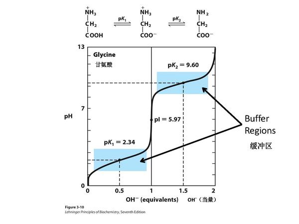 莱宁格生物化学原理 Lehninger Principles of Biochemistry 重点划线 导读双语课件 - 知乎