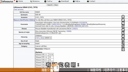 MB49细胞培养，小鼠膀胱癌细胞培养攻略 - 丰晖生物 - 知乎