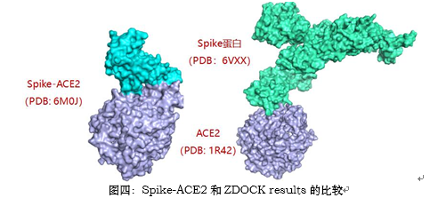 CADD--PDB数据库--Sybyl--Schrodinger--Pymol--AutoDock--3D-QSAR--蛋白结构分析 ...