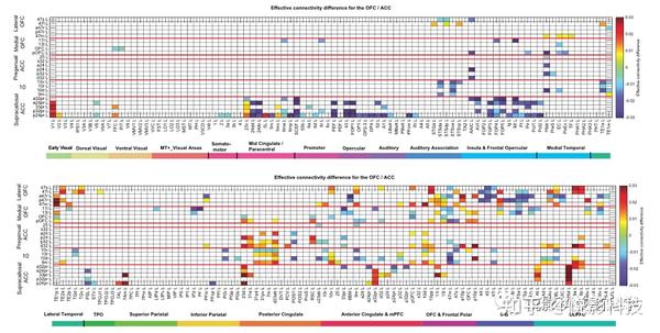 人类眶额皮层、vmPFC和前扣带回的有效连接：情绪、记忆和行动 - 知乎