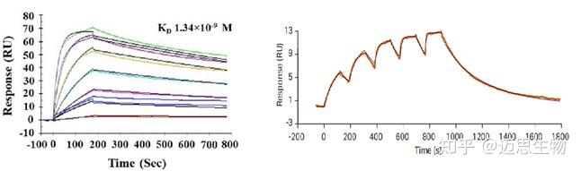 SPR分子互作检测介绍 - 知乎