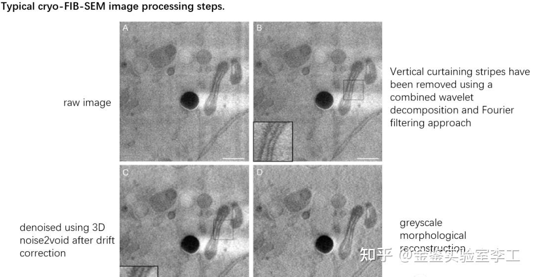 冷冻聚焦离子束-扫描电镜成像技术（Cryo-FIB-SEM）研究进展 - 知乎