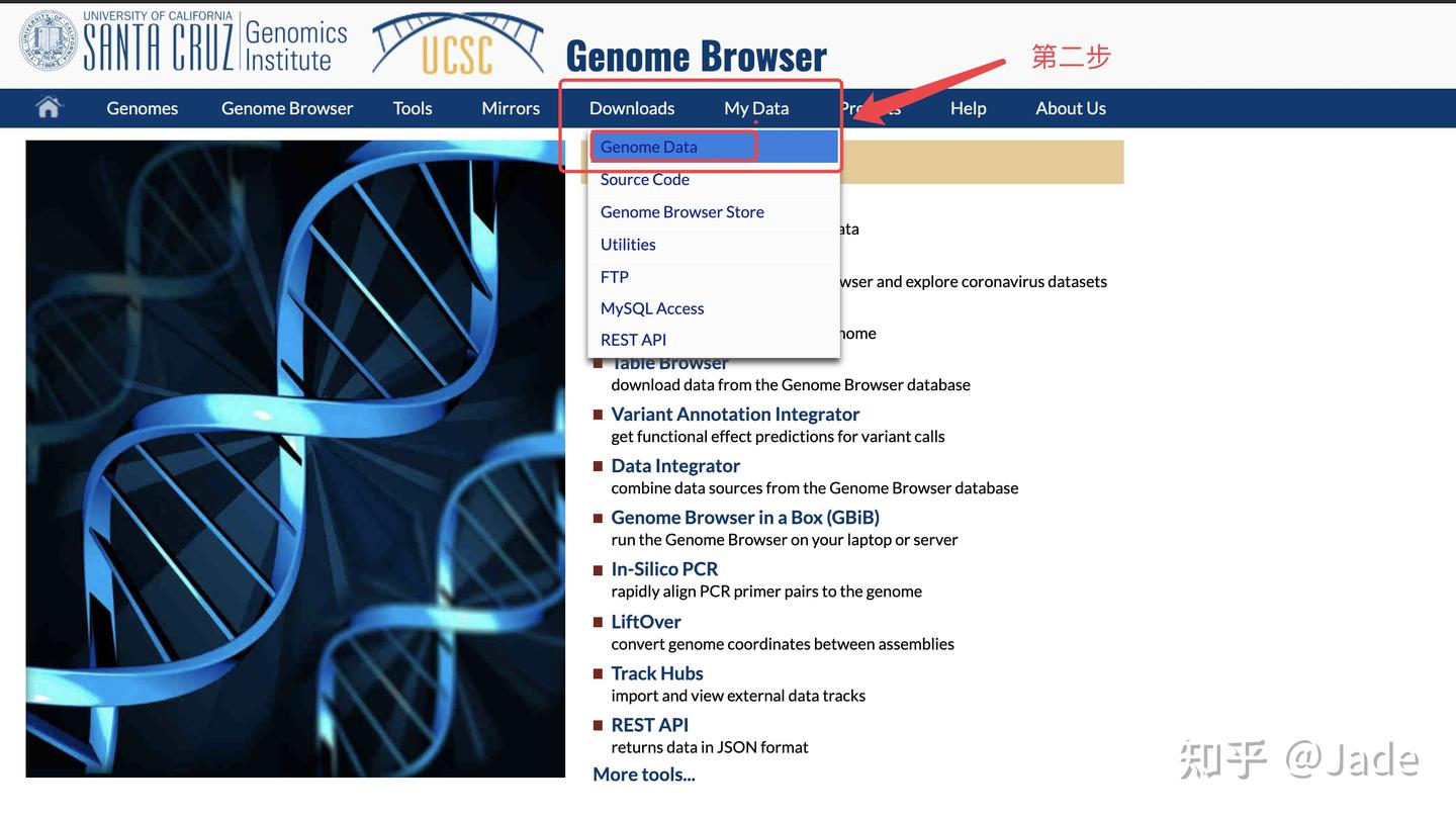 UCSC参考基因组下载（最新版hg38） - 知乎