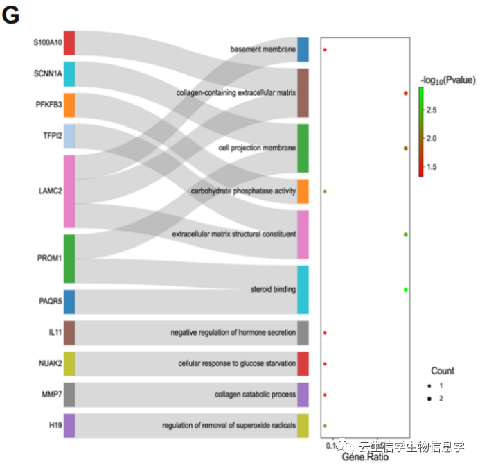 7分+双疾病纯生信分析又整新活了！整合“机器学习”标志物筛选、单基因分析和药物分子对接，思路升级不学就亏大啦！ - 知乎