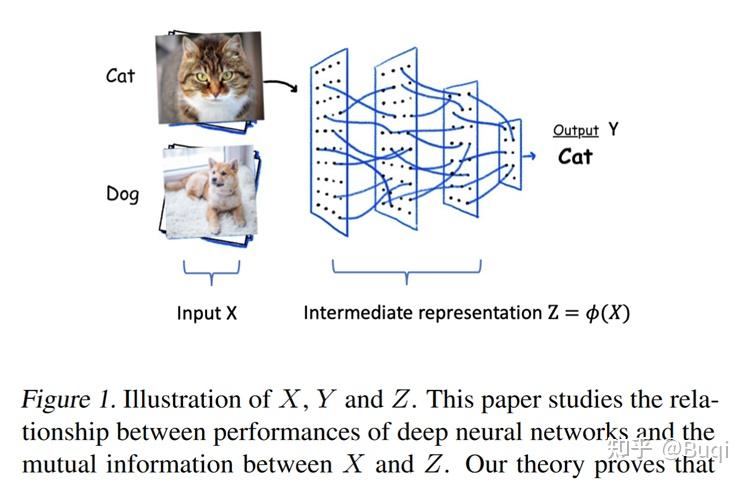 信息瓶颈Information Bottleneck及信息论相关概念梳理 - 知乎
