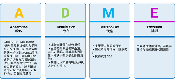 纳米抗体（Nanobody）：药代动力学特征及生物分析策略 - 知乎