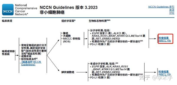 如何查阅NCCN指南 - 知乎
