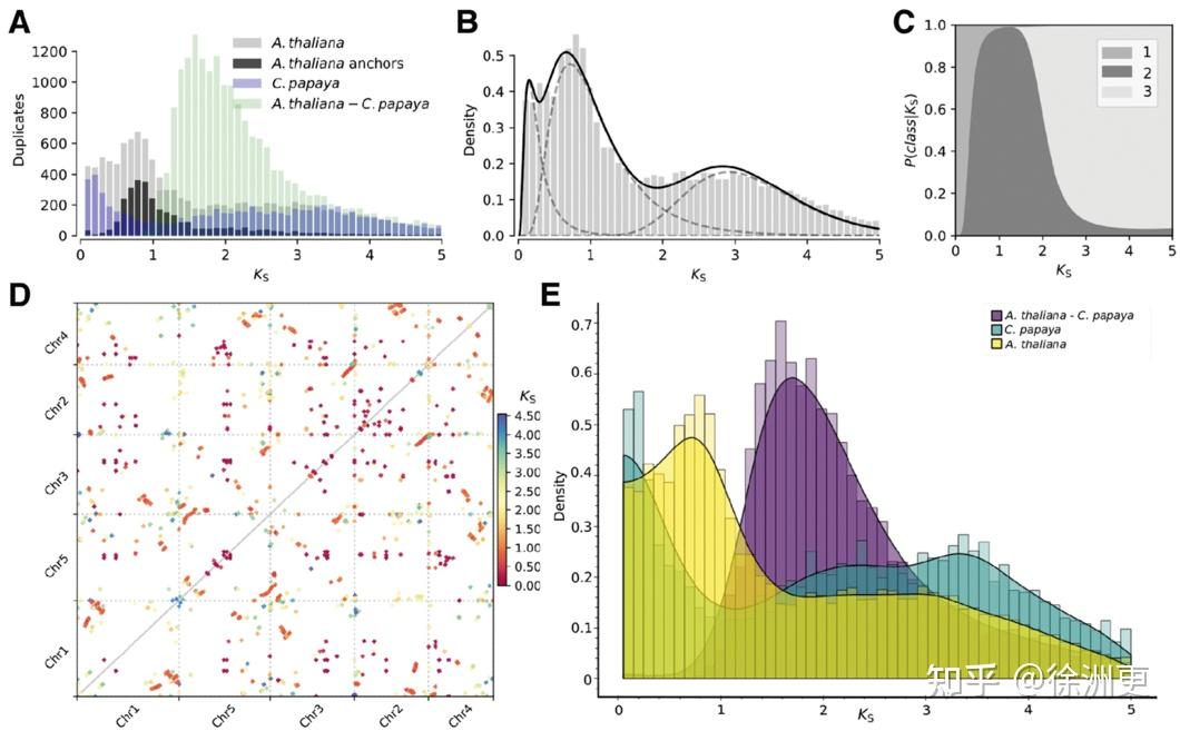 如何用WGDI进行共线性分析(二) - 知乎