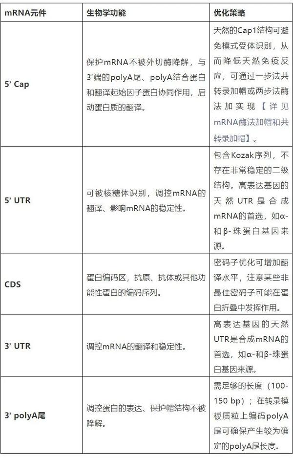 【耀文解读】mRNA篇︱mRNA疫苗在肿瘤中的研究进展：机遇与挑战并存 - 知乎