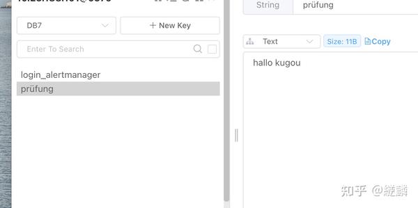 golang gorm 使用分享和 redis使用 - 知乎