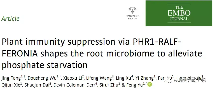 The EMBO Journal | 研究揭示植物免疫调节根部微生物组的平衡以减轻磷饥饿的影响！ - 知乎