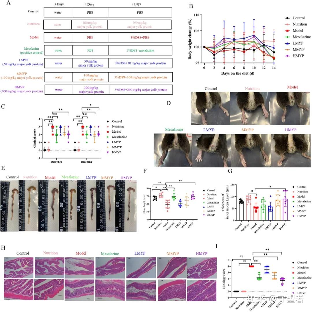 Food Research International：来源自海参的主要卵黄蛋白通过调节微生物紊乱和炎症反应来缓解急性结肠炎 - 知乎