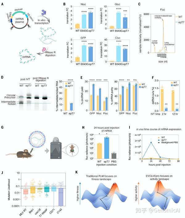 Science正刊｜蛋白质语言模型EVOLVEpro实现快速的定向进化 - 知乎