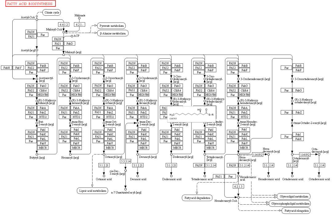 精工致善丨KEGG之代谢通路分析 - 知乎