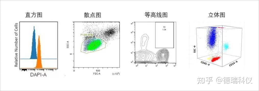 流式细胞仪 仪器知识 L 流式细胞术是什么? 知乎